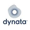 Dynata Careers - Blind
