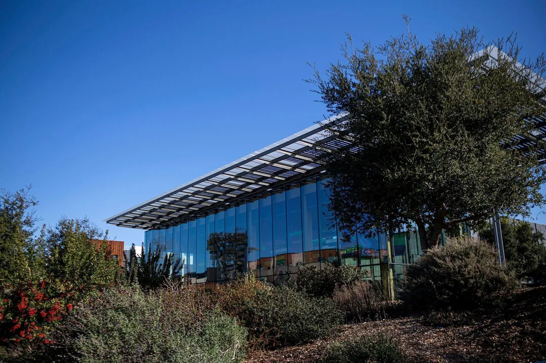 Indian Microsoft Software Engineer Dies on Silicon Valley Campus at 35 ...