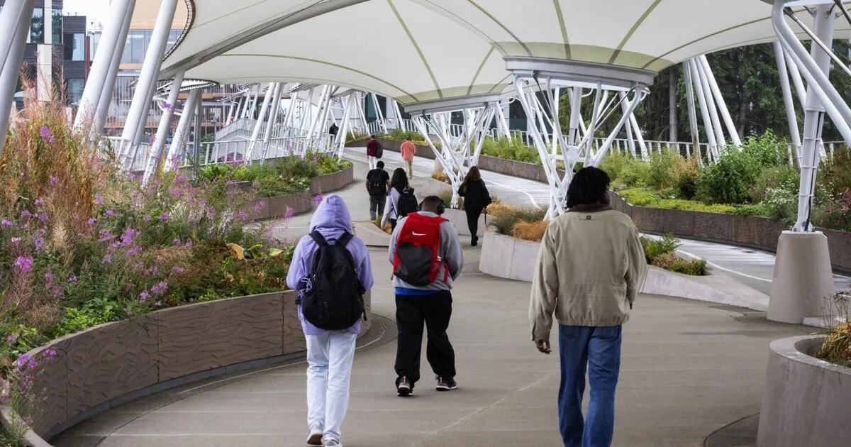 Microsoft Layoffs Discussions - Blind